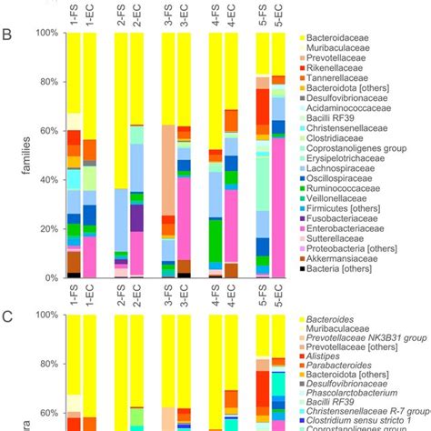 Stacked Bar Plot Representation Of Microbiota Composition Before And Download Scientific