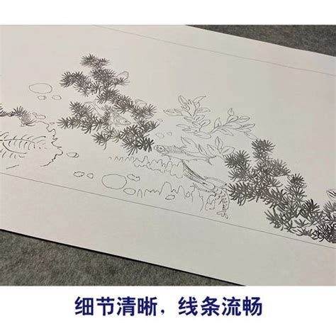 【长卷】工笔画白描底稿古画长卷钱与龄《秋风墨藻图》多种白描尺寸可选g034 桔舍