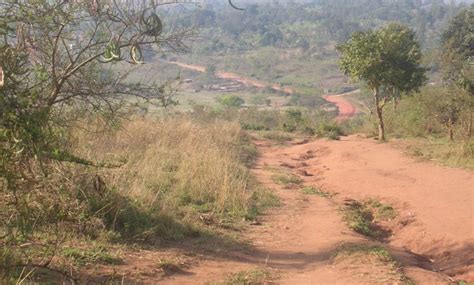 Kagera Allocates Land Buildings For Academic Infrastructures Daily News