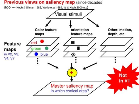 A Bottom Up Visual Saliency Map In The Primary Visual Cortex Ppt Download