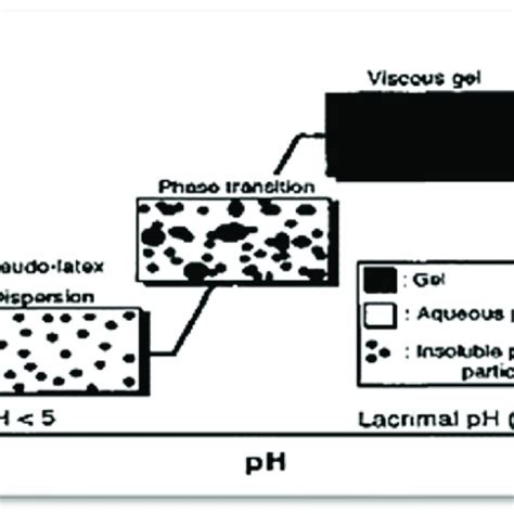 In Situ Gelling Process Triggered By Ph A Schematic Illustration [9] Download Scientific
