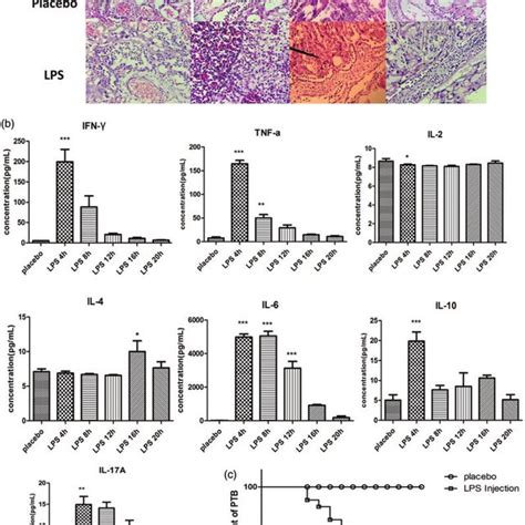 1 Composition Of Ripa Lysis Buffer Download Table