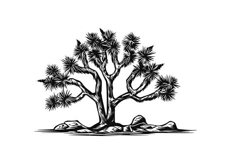 Silhouette Of A Joshua Tree Vector Illustration Premium Ai Generated