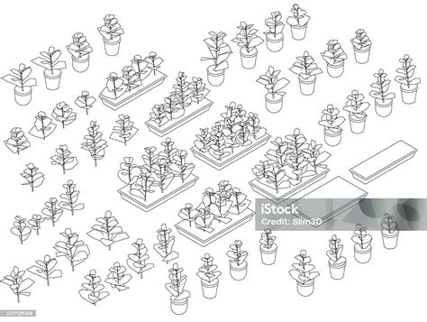 많은 화분에 심은 식물이 있는 정원의 그림입니다 식물은 다양한 크기와 모양으로 배열되어 있으며 일부는 클러스터로 함께 그룹화되어 있습니다 정원은 잘 관리되고 조직화 된 것