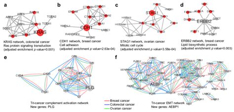 Protein Co Expression Network Based Inference Of Gene Function Download Scientific Diagram