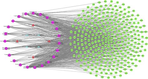 Target Pathway Network Of Bs Pathogenesis Analysis Green Hexagon