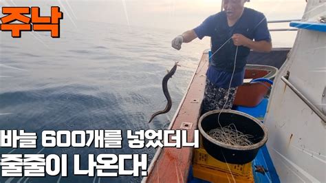 600개 낚시바늘이 바다에 들어가면 생기는 일 대물이 줄줄이 나온다 Youtube