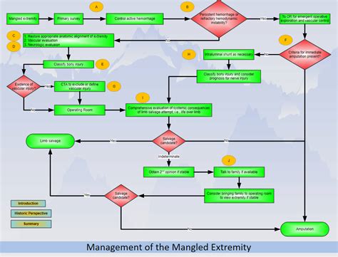 Mangled Extremity Protocol
