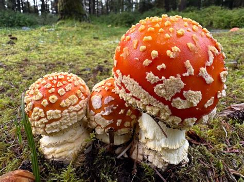 Mastering The Focal Point Photography Academy