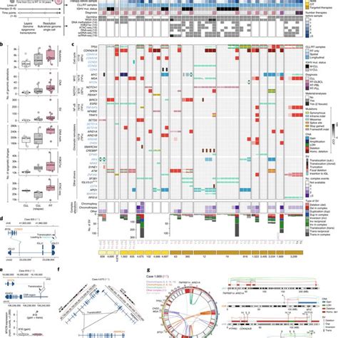 Holger Heyn Team Leader Phd Single Cell Genomics Research Profile