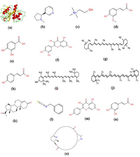 2 D Structure Of Different Bioactive Compounds Present In Papaya E G