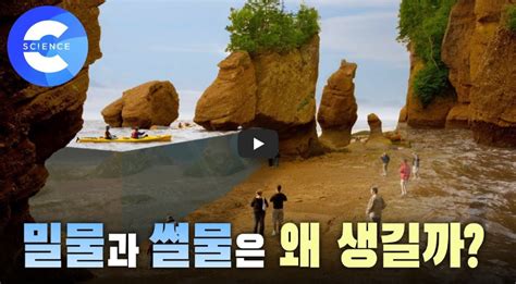 밀물과 썰물 정의 원인 시간 원리 및 물때 확인 방법