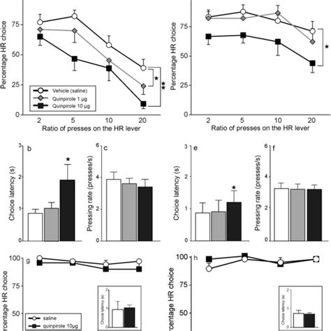 Histology Locations Of Infusions Into The Nac Core Squares And Shell Download Scientific