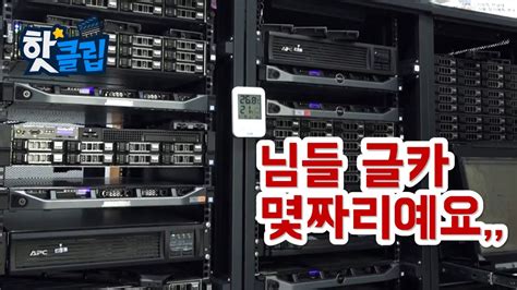 그래픽 처리 장치의 성능을 높이는 요소는 무엇일까 Xp존