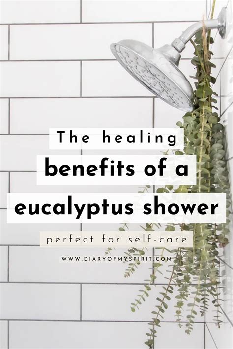 Benefits Of Hanging Eucalyptus In The Shower At Trevor Roy Blog
