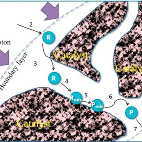 Schematic Representation Of The TD GC FID MS System Download Scientific Diagram