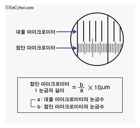 시료 크기 측정 With 대물 접안마이크로미터 네이버 블로그