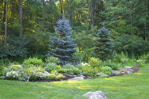 Best Building A Berm Images On Pinterest Diy Landscaping Ideas Landscaping Ideas And