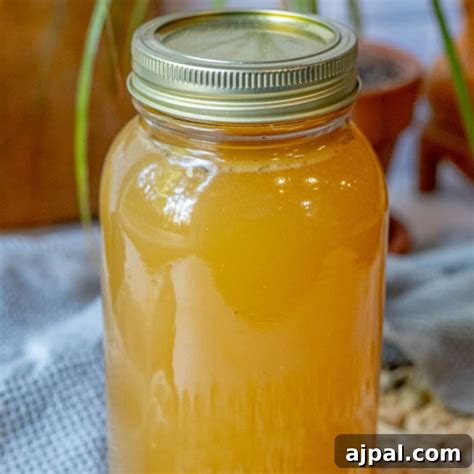 Homemade Slow Cooker Turkey Stock Ajpal