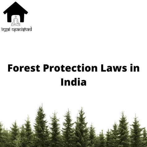 Forest Protection Laws In India Explained