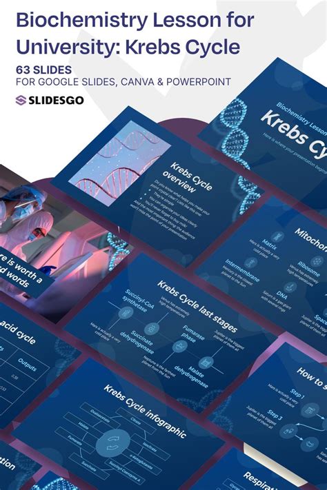 Biochemistry Lesson For University Krebs Cycle I Google Slides Canva PowerPoint Template