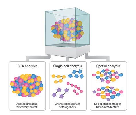 New Illumina® Gene Expression And Regulation E Book Download Now Rna Seq Blog