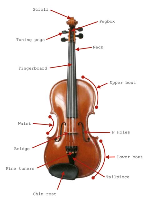String Instruments The Complete Guide Soundtrack Academy