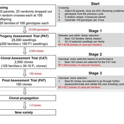Simulated Phenotypic Selection Scheme Download Scientific Diagram