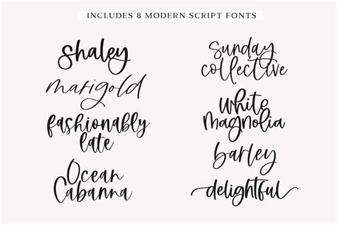 drawing and illustration digital lightning script font modern script font bundle script fonts