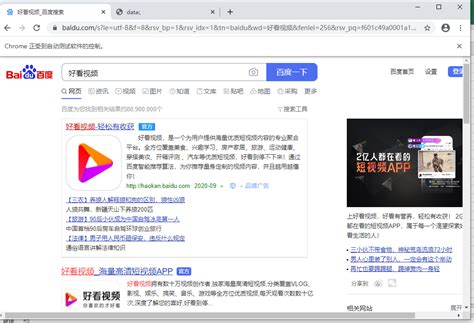 《seleniumbasic 314100 在vba中操作浏览器》系列文章之二：浏览器的安装和驱动文件的下载 Ryueifu 博客园