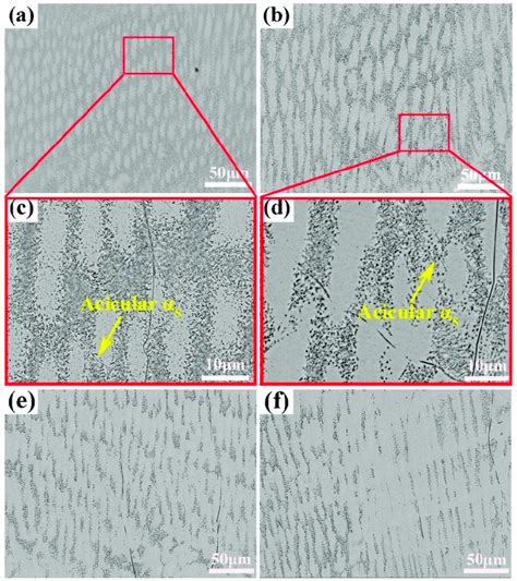 Microstructures Of Annealed Samples At Different Temperatures For 05 Download Scientific