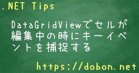 Datagridviewでセルが編集中の時にキーイベントを捕捉する Net Tips Vbnetc