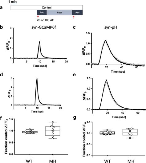 Malignant Hyperthermia Protocol 2022