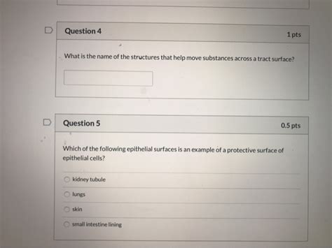 Solved Di Question 4 1 Pts What Is The Name Of The