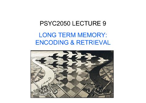 Lecture 9 Memory Encoding Retrieval Ab Psyc2050 Lecture 9 Long Term
