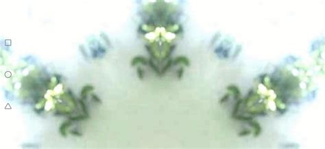 Mandeleffect Collection Opensea