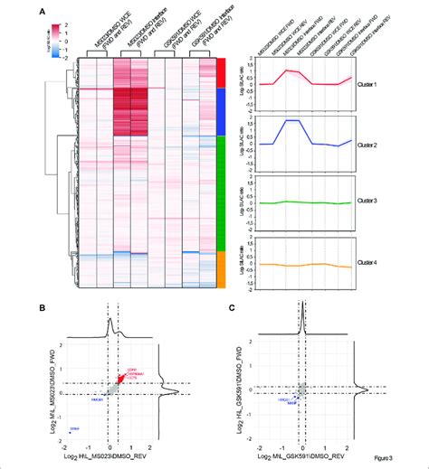 Dynamics Of Rbp Rna Interactions In Dependence Of Prmt Download