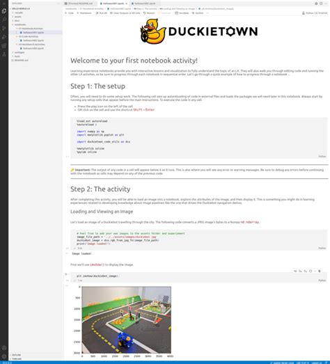 Notebook Activities — Book Devmanual Lx Daffy