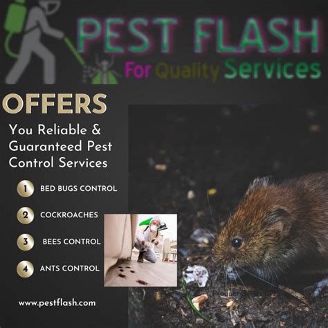 Find The Best Pest Control Prices In Kenya 2024