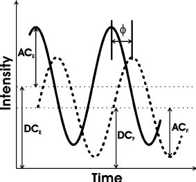 Relative Phase Shift F And Modulation Of The Excitation Subscript Download Scientific