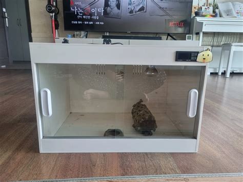 파충류 사육장 당근 중고거래