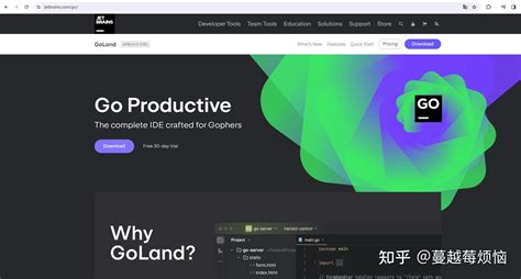 GoLand远程开发IDE使用SSH远程连接服务器进行云端编程 知乎 GoLand远程开发IDE使用SSH远程连接服务器进行云端编程 知乎
