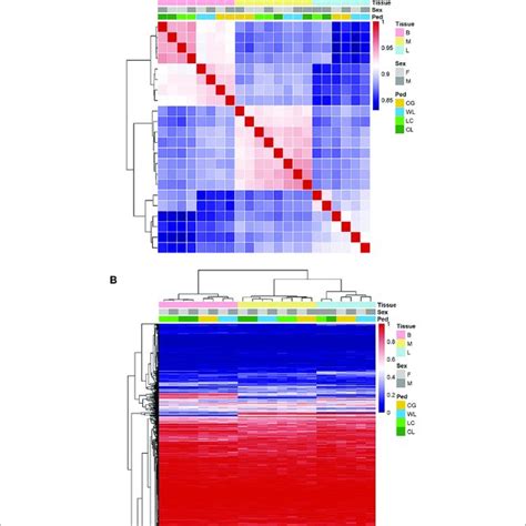 Correlations And Hierarchical Clustering Of Alternative Splicing A Download Scientific