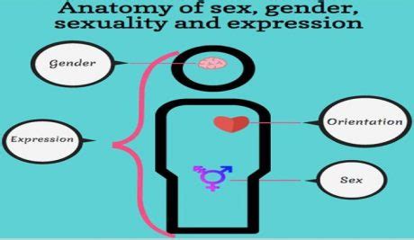 Why The Modern Science Of Sex And Transgender Identity Matters For Every Filipino Get Real Post
