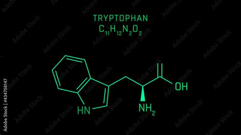 Tryptophan Molecular Structure Symbol Neon On Black Background Stock Illustration Adobe Stock