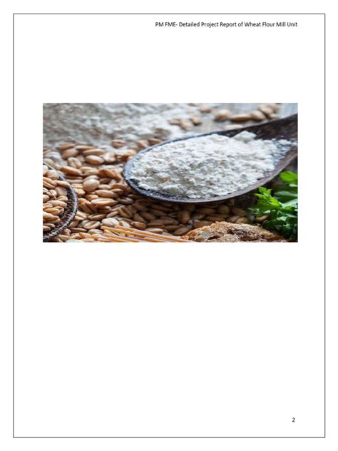 Wheat Flour Processing Project Report Pdf Mill Grinding Flour