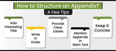 What Is An Appendix In A Paper Understanding It Properly
