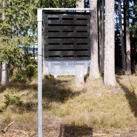 Multiwit Bark Beetle Slit Trap