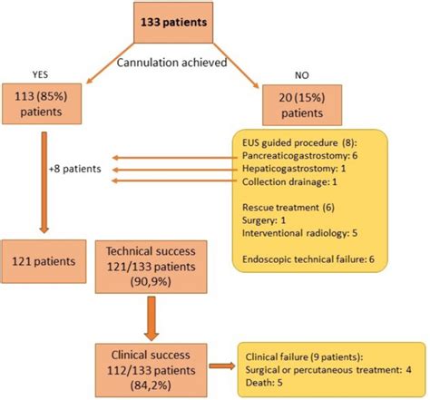 Endoscopic approach for biliopancreatic disease after pancreaticoduodenectomy: a 10-year single ...
