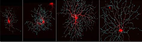 As Many Exceptions As Rules Pump Up Your Brain